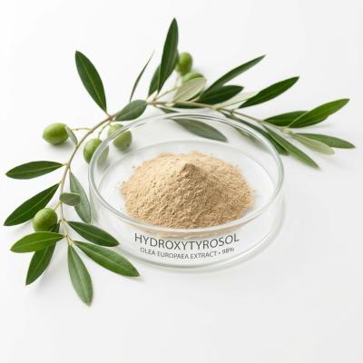 China Premium Hydroxytyrosol  Natural Olive Leaf And Fruit Extract  HPLC Tested Food Grade for sale