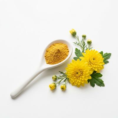 China 10:1 Instant Water Soluble Premium Chrysanthemum Extract Fine Powder for sale