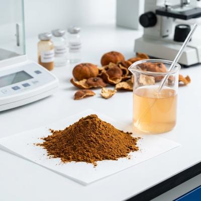 China Citrus Reticulata Tangerine Peel Extract Chenpi 10:1 Concentrated Powder Food Grade for sale