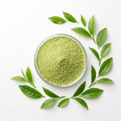 China Premium Green Tea Extract – Standardized 50% Polyphenols & EGCG (Water-Soluble) for sale