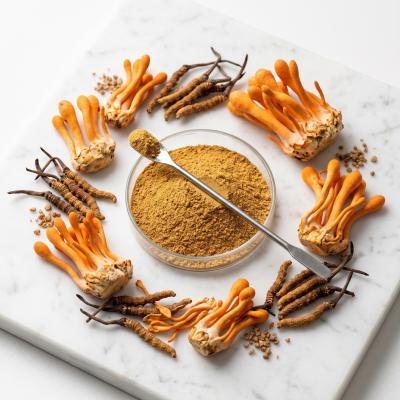 China Non GMO Cordyceps Extract Standardized Polysaccharides Cordyceps Militaris Extract for sale