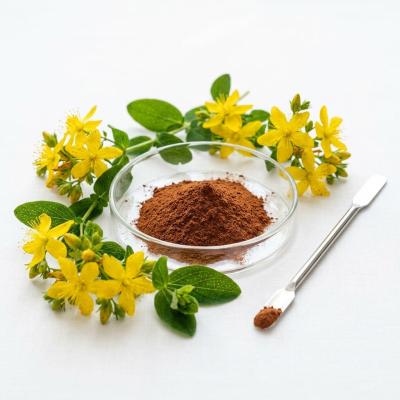 China St. John'S Wort Extract Standardized Hypericin Hypericum Perforatum Extract for sale