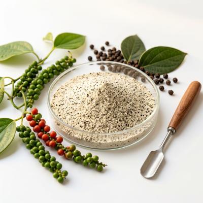 China Black Pepper Extract Powder HPLC  Piper Nigrum Bioperine Bulk Powder for sale