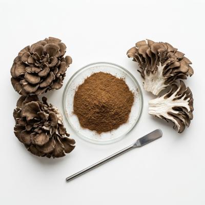 China High Potency Maitake Mushroom Extract Powder Light Brown Polysaccharides Grifola Frondosa Extract for sale