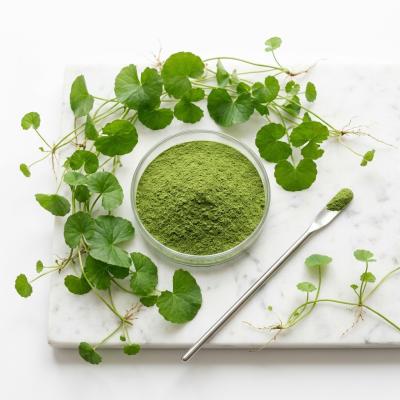 China Premium Centella Asiatica Extract Standardized Triterpenes For Wound Healing Anti Aging for sale