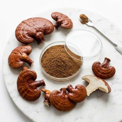 China Ganoderma Lucidum Plant Extract Powder Polysaccharides & Triterpenes Reishi Mushroom Extract for sale