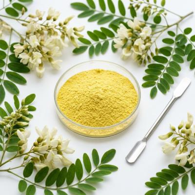 China Crystalline Rutin Extract Sophora Japonica L. Powder Standardized Bioflavonoid for sale