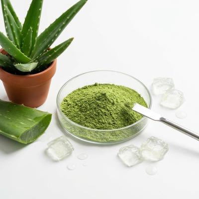 China Oral Health Aloe Vera Extract Aloe Barbadensis Extract Standardized Polysaccharides for sale