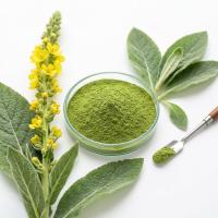 China Respiratory  Mullein Leaf Verbascum Thapsus Extract Standardized Bioactive Ratio for sale