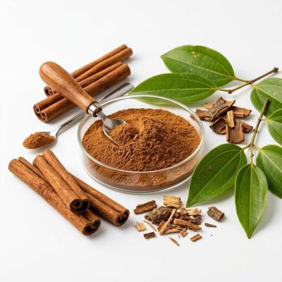 China Metabolic Support Cinnamon Bark Extract Cinnamomum Cassia Extract Standardized Polyphenols for sale