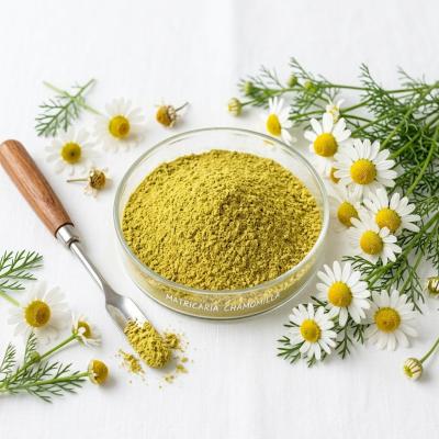 China Premium Chamomile Flower Extract PE-93  Standardized Apigenin Concentrate for sale