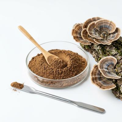 China Turkey Tail Mushroom Extract PE-100 Standardized Polysaccharides For Immune Support for sale