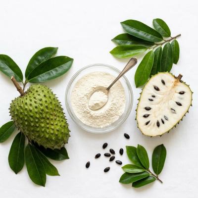 China Functional Health Soursop Powder Natural Graviola Superfood Concentrate for sale
