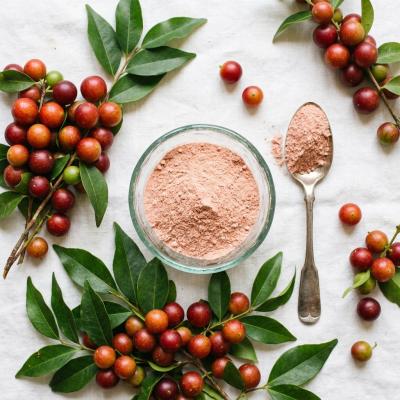 China Ultra High Vitamin C Fruit And Vegetable Powder Camu Camu Powder for sale