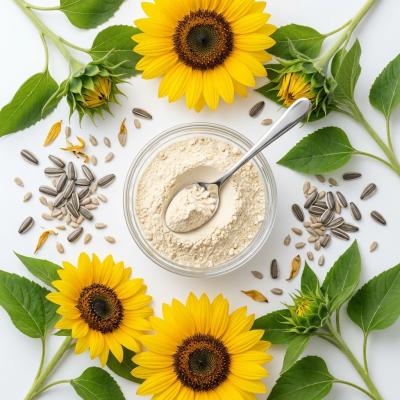 China Naturally Sunflower Seed Protein Powder Hypoallergenic Plant Based Protein for sale