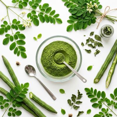 China Premium Moringa Powder Nutrient Dense 