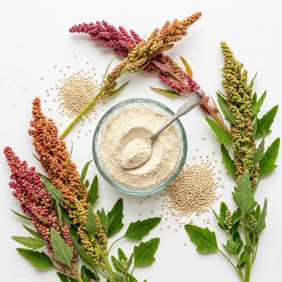 China Complete Protein Ancient Grain Concentrate Premium Quinoa Powder  100% Gluten Free for sale