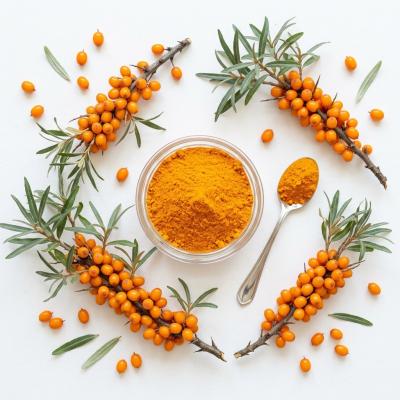 China Omega Rich  Sea Buckthorn Powder  Superfruit Concentrate Fruit And Vegetable Juice Powder for sale