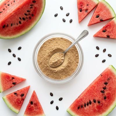 China Cold pressing Mechanical Watermelon Seed Protein Powder Novel Hypoallergenic Plant Based Protein for sale