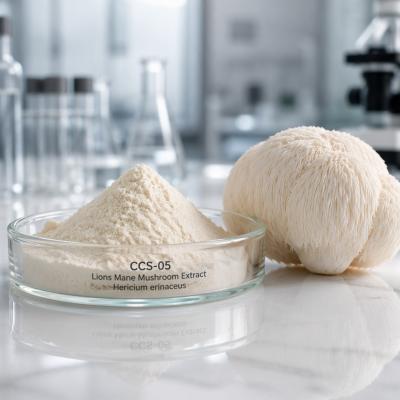 China Bulk CCS-05 Lion'S Mane Mushroom Extract Powder Premium Fungi Extract for sale