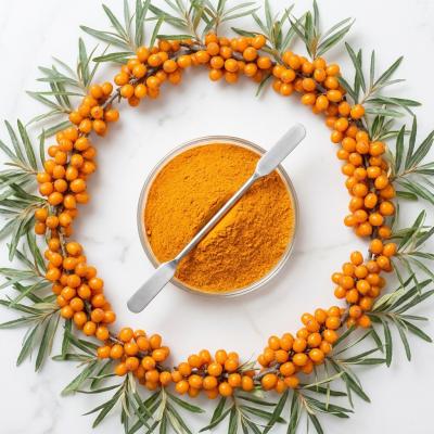 China Antioxidant Herb Extract Powder Vitamin Rich Sea Buckthorn Extract Powder Superfruit Concentrate for sale