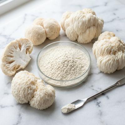 China Premium Lion's Mane Mushroom Extract Powder (Hericium Erinaceus) | Standardized 30%-50% Polysaccharides | Nootropic for Brain & Focus Support for sale