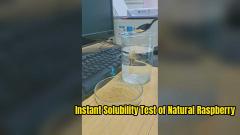 Instant Solubility Test of Natural Raspberry Powder | Perfect for Beverages