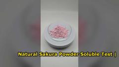 Natural Sakura Powder Soluble Test | Beautiful Pink Color for Lattes & Baking