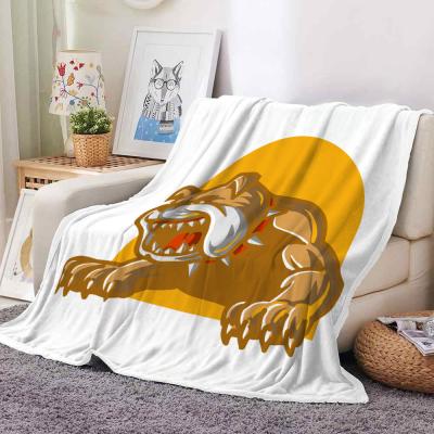 China 2022 China Wholesale Super Soft Warm 2Kgs Bedroom Blankets in Bulk With Skin-softly & Skin-friendly For Home Warmer for sale