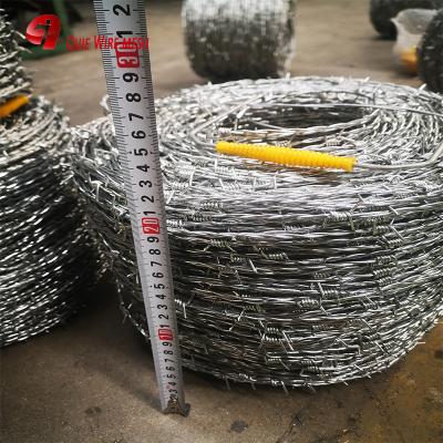 China Hot Dipped Galvanize 14 gauge galvanized barbed wire for South America Market for sale