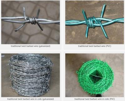 China Hot Dipped Galvanize 14 gauge galvanized barbed wire for South America Market for sale