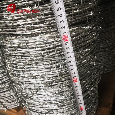 China Hot Dipped Galvanize 14 gauge galvanized barbed wire for South America Market for sale
