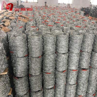 China Hot Dipped Galvanize 14 gauge galvanized barbed wire for South America Market for sale