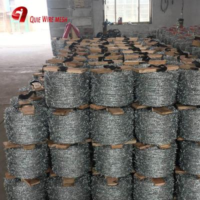 China Hot Dipped Galvanize 14 gauge galvanized barbed wire for South America Market for sale