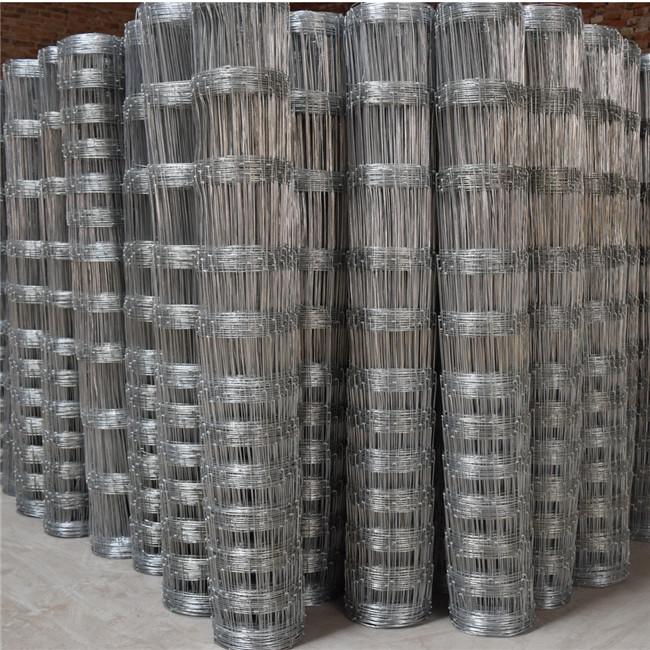 Hot Galvanized Cheap Hog Wire Farm Fence Prairie Field Fence Netting Cattle Fence on Farm for Sale