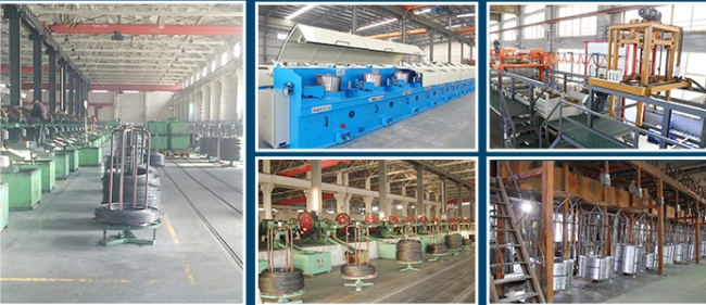 5.6mm Wire Hot Dipped Galvanized Ms Welded Wire Mesh Panel