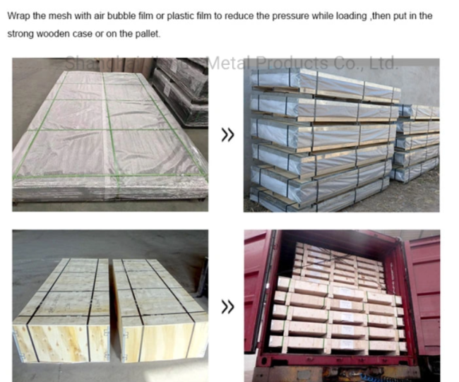 Ss Aluminum Galvanized Perforated Metal Sheet Filter Mesh Etching Punching Mesh