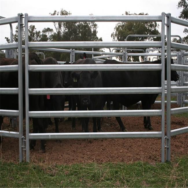 Stockyard Corral Panel Cattle Horse Round Yard Panels 6 Oval Rails With Locking Pins