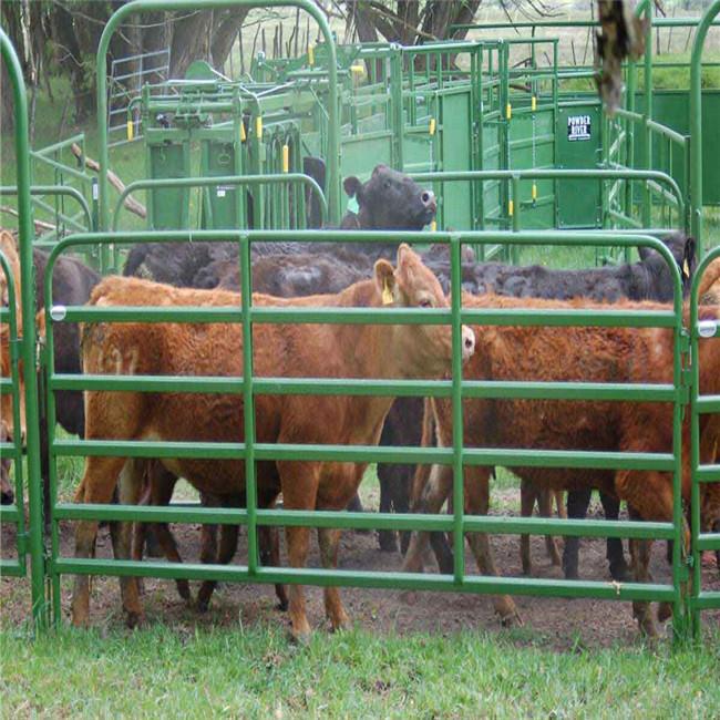 Stockyard Corral Panel Cattle Horse Round Yard Panels 6 Oval Rails With Locking Pins