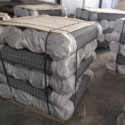 China High Security 6 gauge pvc fence galvanized chain link fence fabric for sale