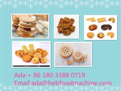 China SH-D002 wafer biscuit machine machinery for sale