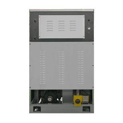 China Commercial Laundry Solution Fast Secure Clean-Ultimate Experience with New Electric Fuel Cloth Material for sale