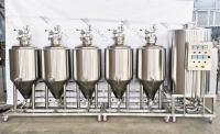 China GSTA 50l Small Beer Making Machine with Adjustable Voltage and Electronic Heating for sale