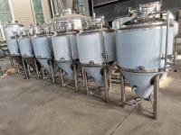 China Customized SUS304 Beer Processing Types Brewing Equipment for Beer Production for sale