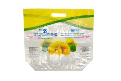 China Enviroment friendly non-toxic  fruit/vegetable storage/freshness Bags for sale