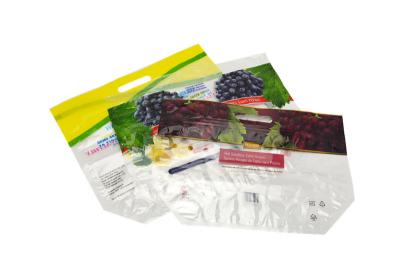 China Enviroment friendly non-toxic  storage/freshness grape Bags for sale
