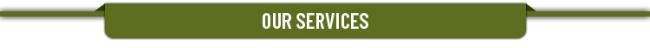 Our-Services.jpg