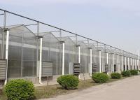 China Side Height 3-7m Large Polycarbonate Greenhouse With Ventilation System for sale
