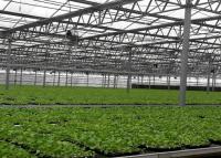 China Side Height 3-7m Large Polycarbonate Greenhouse With Ventilation System for sale