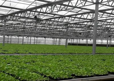 中国 換気装置が付いている側面の高さ3-7mの大きいポリカーボネートの温室 販売のため
